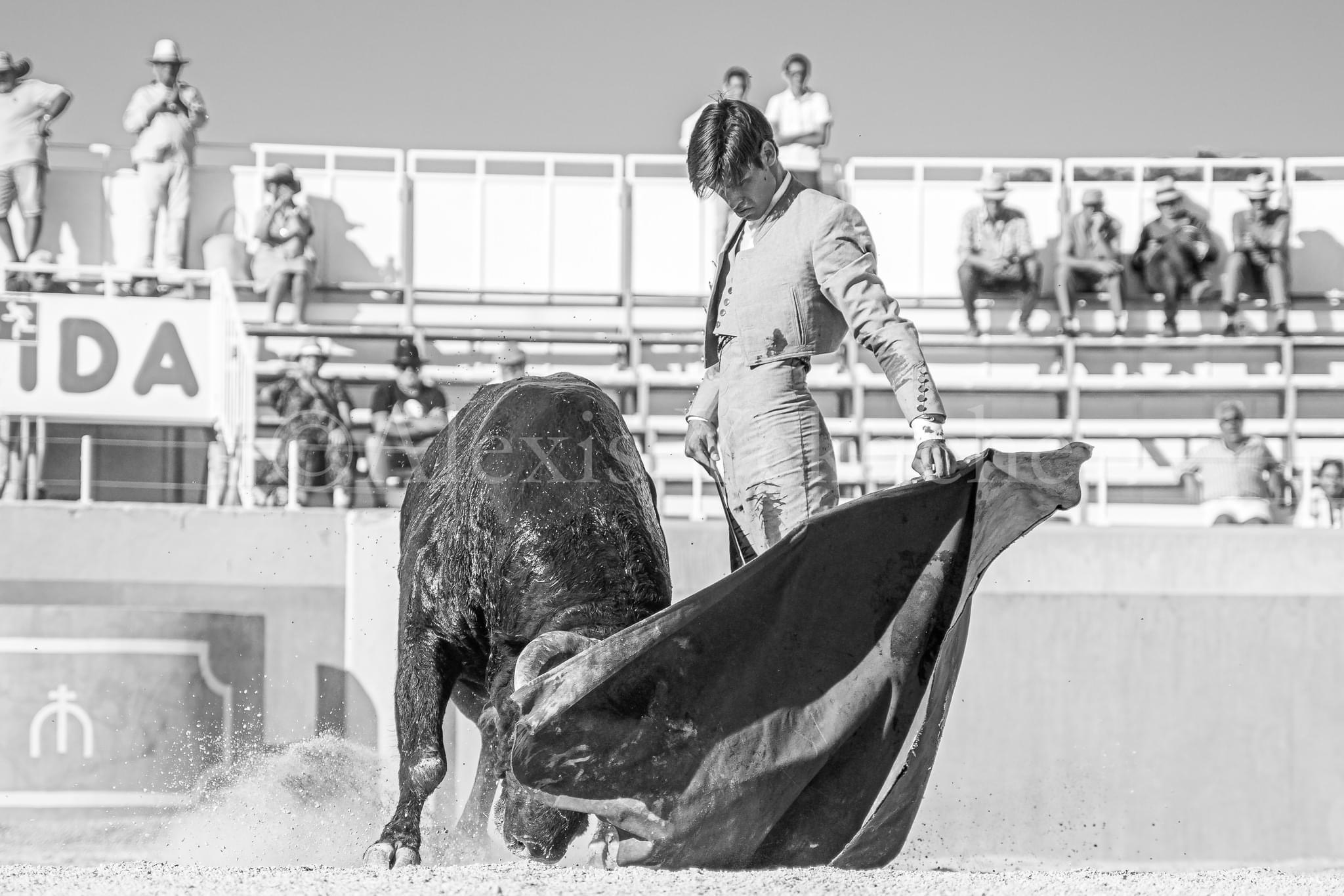 El Rafi triomphe devant les Concha y Sierra – Rafi Raucoule El Rafi